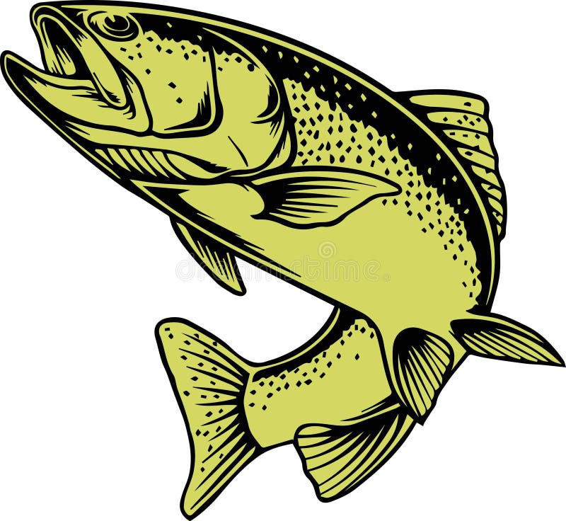 Trout Fish Vector stock vector. Illustration of wildlife - 263144773