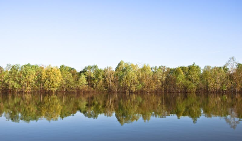 Perfect water reflection stock photo. Image of landscape - 14279220