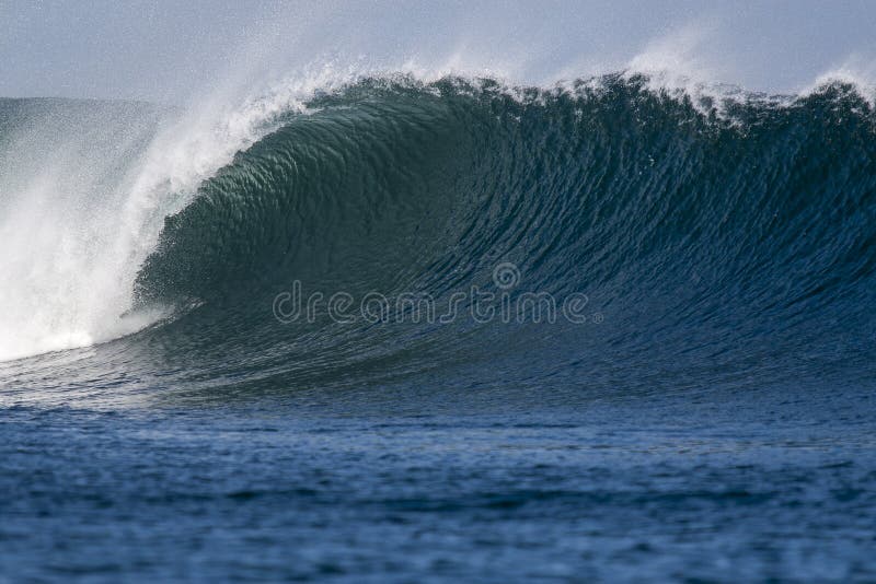 Perfect wave stock image. Image of power, pitching, reef - 31756049