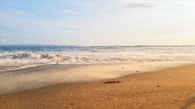 A Perfect Wave To Swim at a Beach Stock Image - Image of mudflat, shore ...