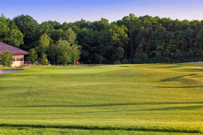 Perfect Wavy Grass on a Golf Field Stock Photo - Image of flag, golfing ...