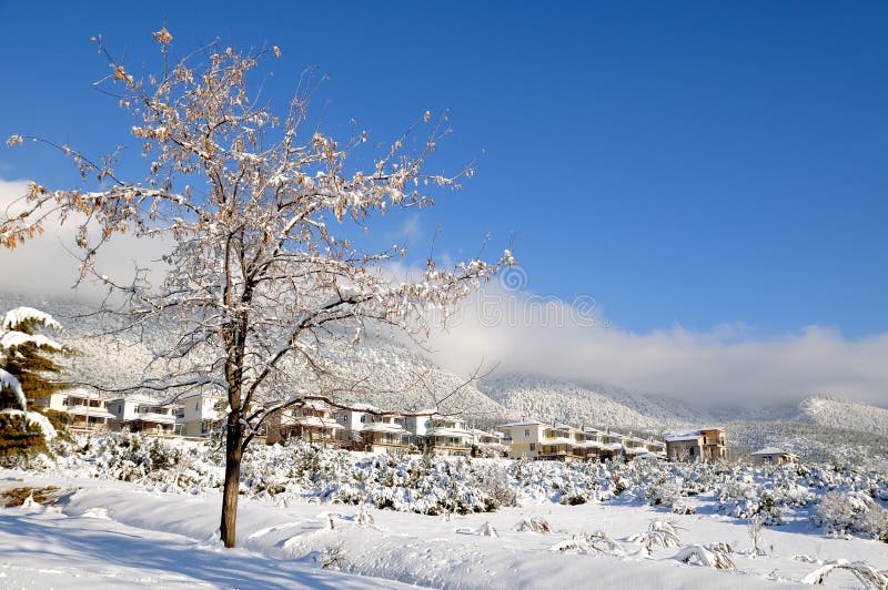 Perfect Winter Day stock image. Image of land, holiday - 23155641