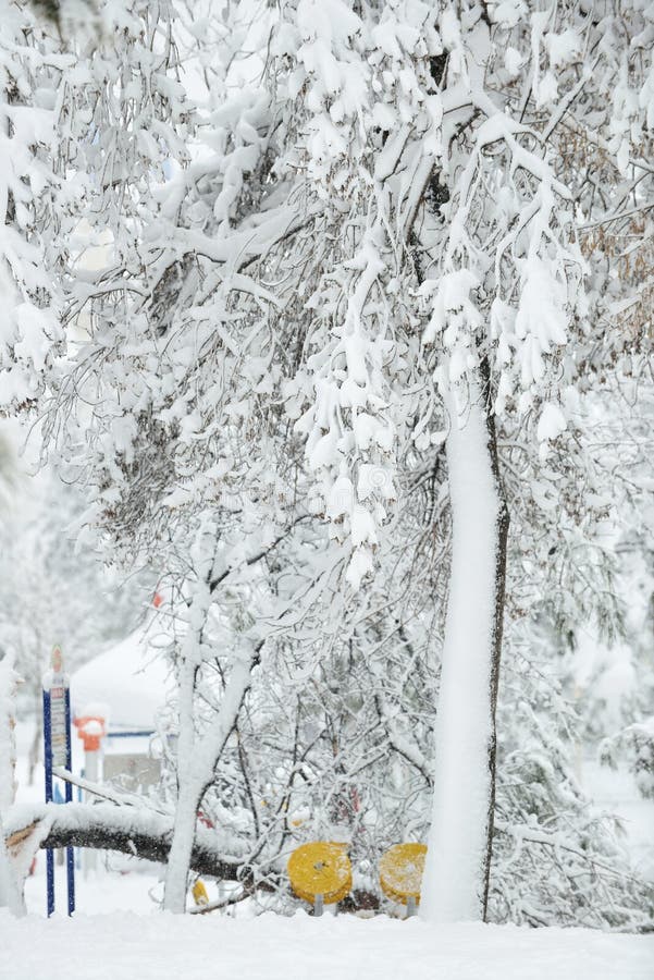 Perfect winter stock image. Image of outdoors, nature - 48968379