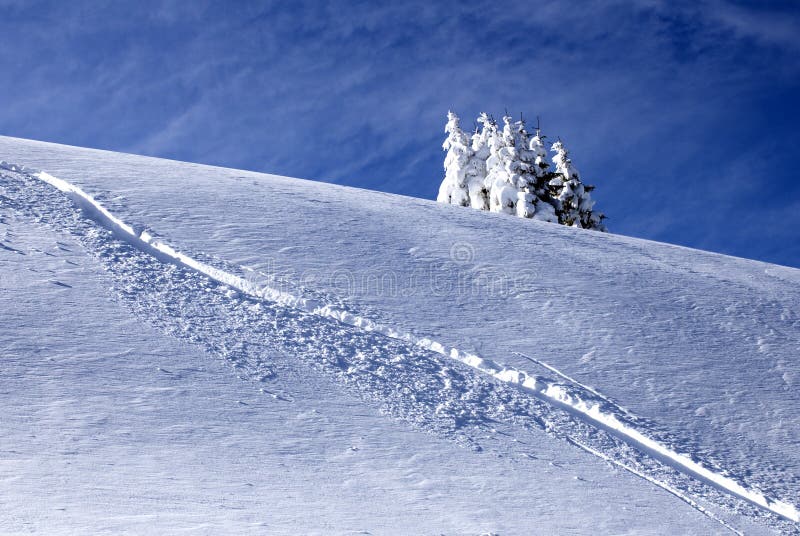 Tracks in snow stock image. Image of piste, slalom, skiing - 3356163