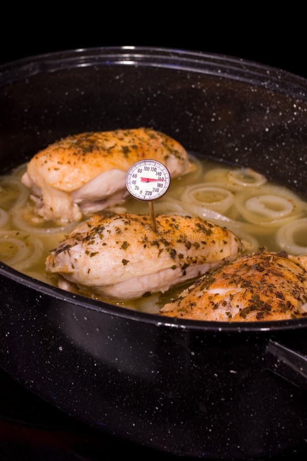 Perfectly cooked chicken stock photo. Image of breast - 63467078