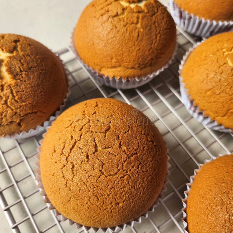 Perfectly Cooked of Coffee Bun Stock Image - Image of golden, coffee ...