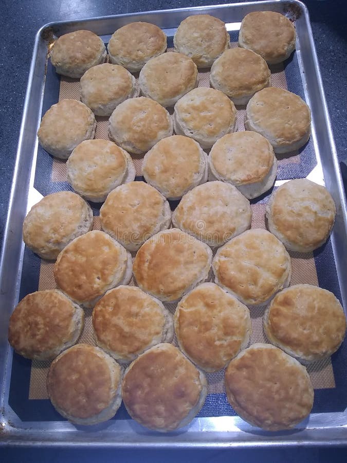 Perfectly Cooked Yummy Biscuits for Breakfast Stock Image - Image of ...