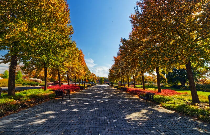 Perfectly Fall Colored Pathway with Lined Trees , Niagara Falls, on ...