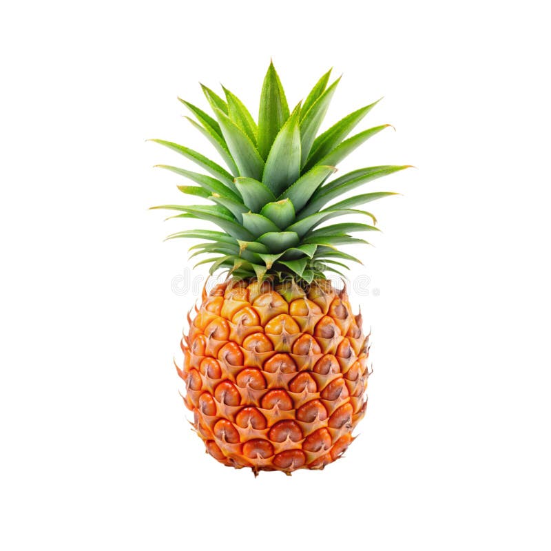 A Perfectly Ripe Pineapple stock illustration. Illustration of healthy ...