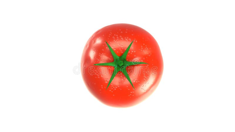 Perfectly Shaped Red Tomato. Top View. Stock Illustration ...