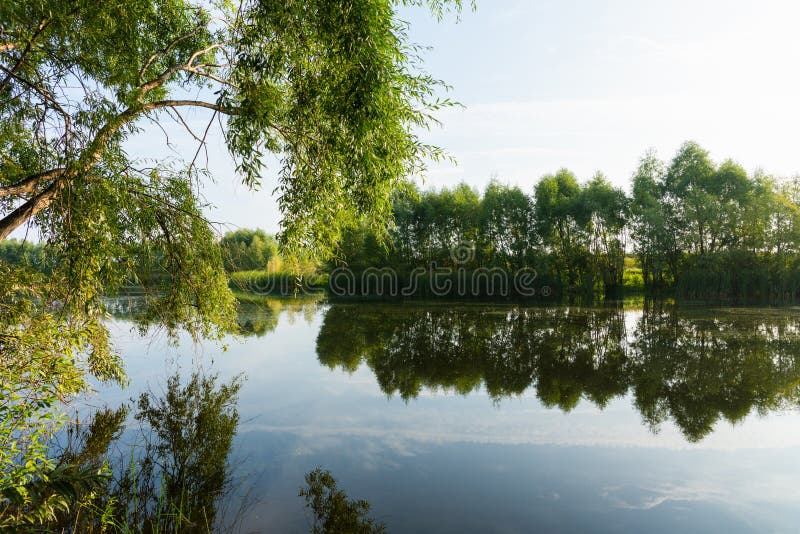 Perfectly Smooth Water Surface on Lake in the Forest. Summer Landscape ...