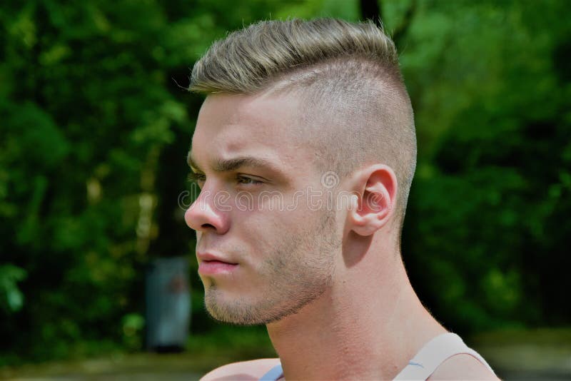 Perfil De La Cara De Un Modelo Serio Imagen de archivo - Imagen de ...