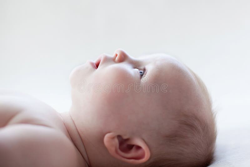 Perfil de un bebé foto de archivo. Imagen de ojos, querido - 14164792