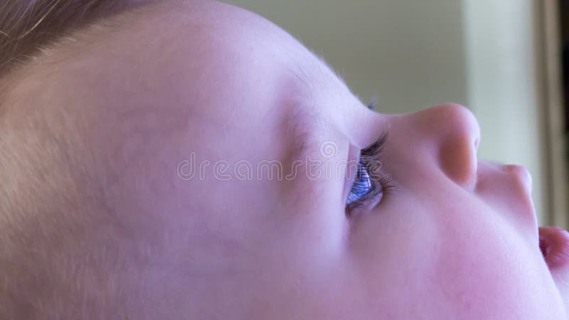 Perfil de un bebé imagen de archivo. Imagen de azul, infante - 52762947