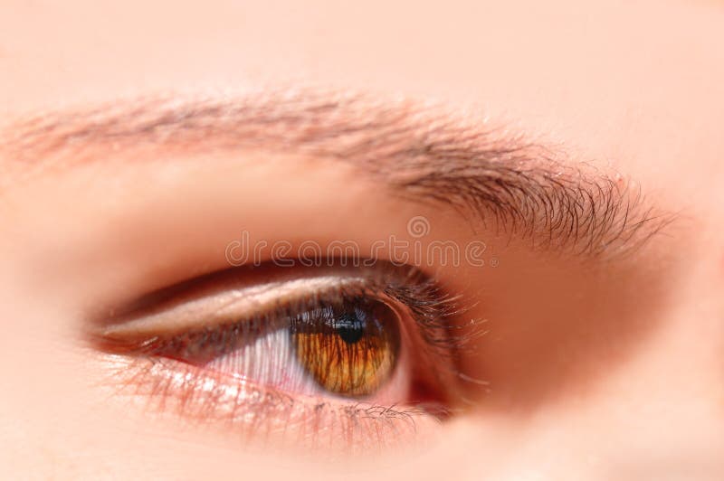 Ojo humano en perfil foto de archivo. Imagen de salud - 31368986