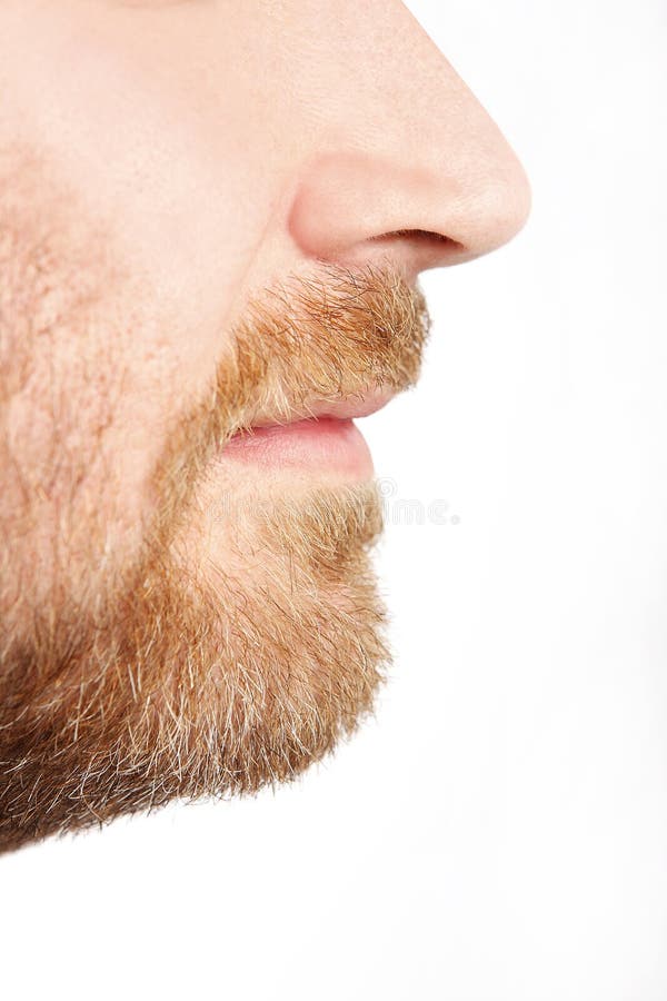Perfil Masculino De La Cara Con La Barba Imagen de archivo - Imagen de ...