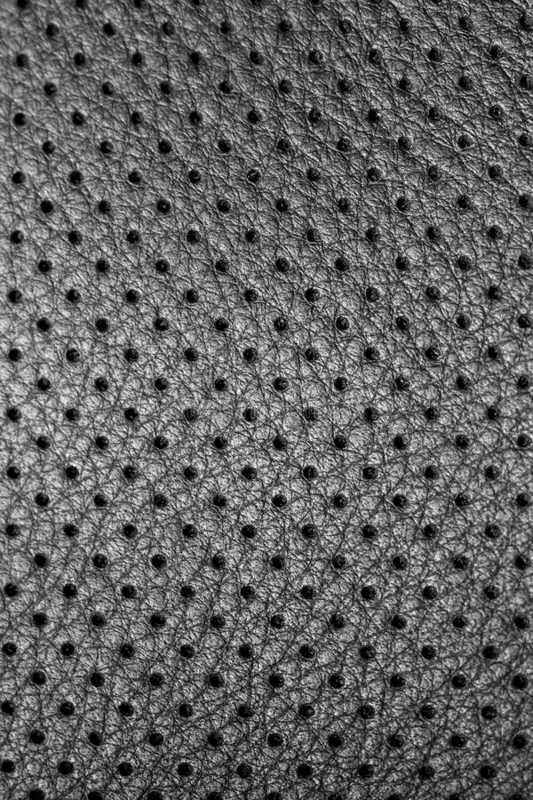Perforated leather texture stock image. Image of colour - 51913829