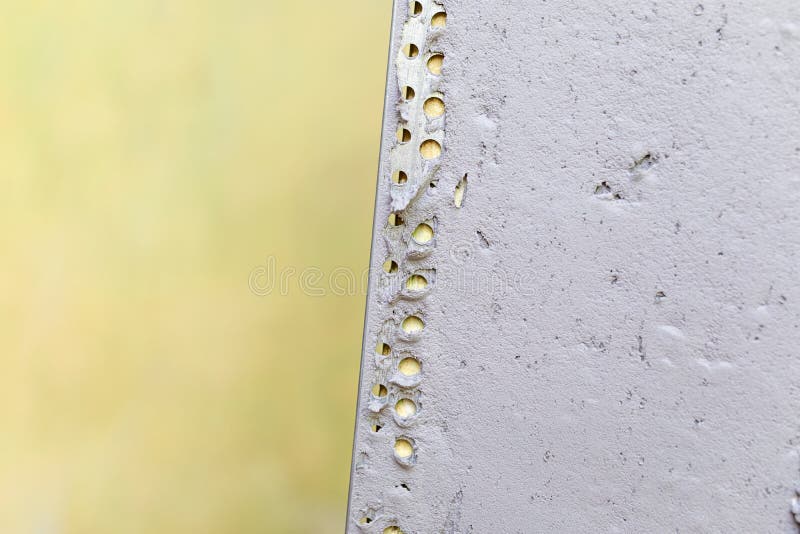Perforated Metal Corner Covered with Plastic Plaster. Construction ...