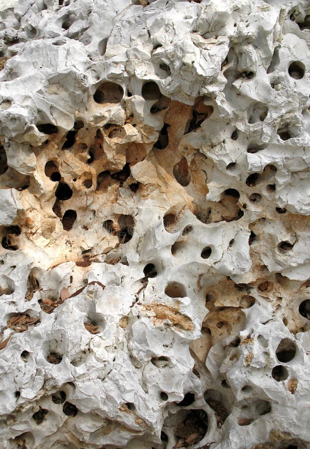 Differential Solution of a Limestone Rock Stock Image - Image of ...