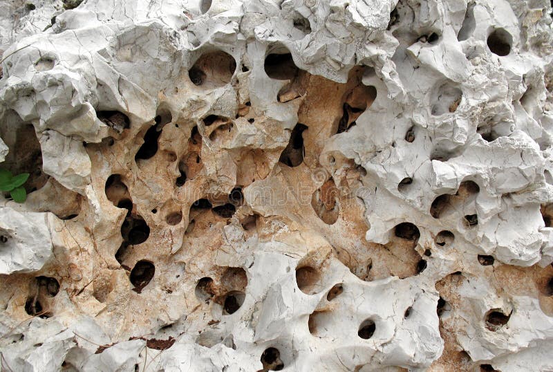 Perforated Stone Work at the Exteriors of Sarkhej Roza, Makarba ...