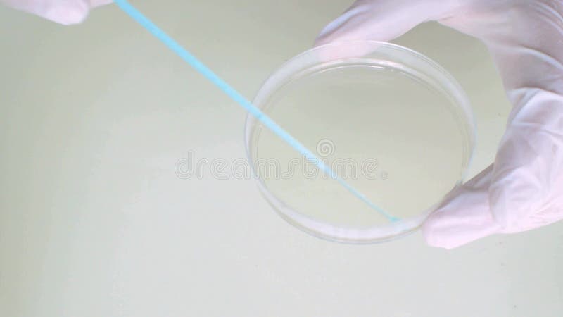 Microbiological Analysis of Culturable Bacteria Using Sterile ...