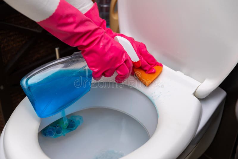 Performing the Task of Cleaning the Toilet Using Blue Liquid and a ...