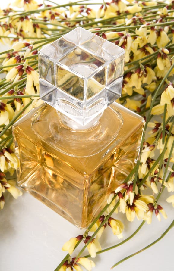 Perfume. stock photo. Image of flower, botanical, beautiful - 5274644