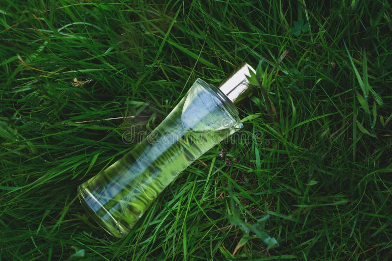 Perfume on a Background of Green Grass Stock Image - Image of ...