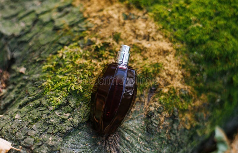 Perfume Bottle on a Background of Green Forest Moss. Beauty Concept ...