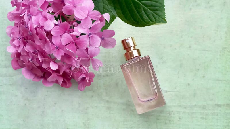 Perfume Bottle and a Delicate Hydrangea Flower Stock Image - Image of ...