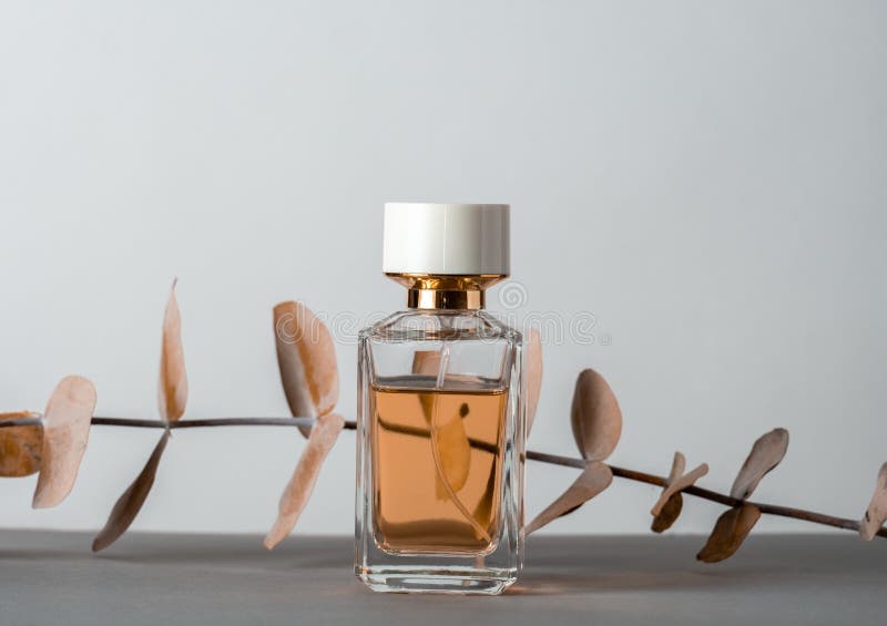 Perfume Bottle with Eucalyptus Dry Brown Leaves Leaves on a Gray ...