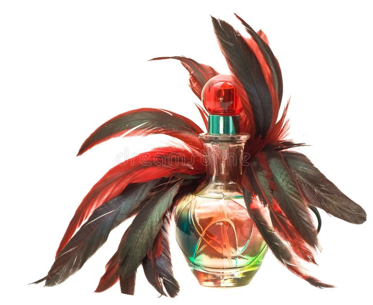 Perfume Bottle with Feathers Stock Photo - Image of glamor, expensive ...