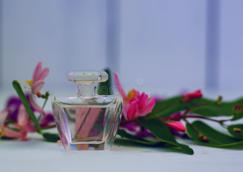 Perfume bottle with flower stock photo. Image of cosmetic - 91874344