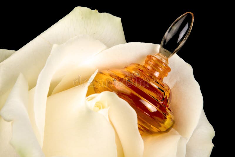 Perfume bottle in a rose stock photo. Image of floral - 17842142