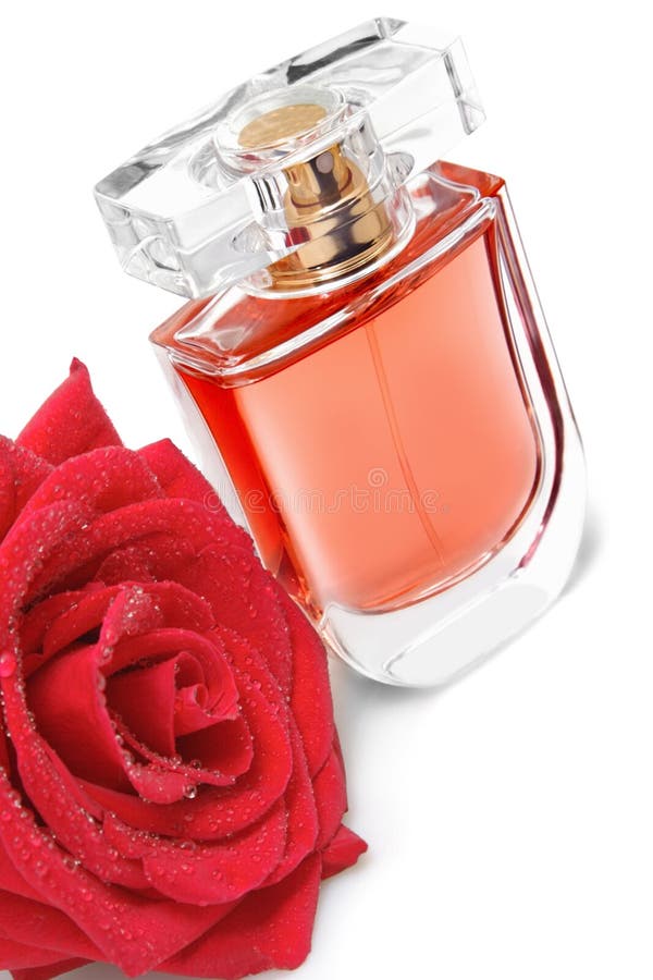 Rose essential stock photo. Image of clean, isolated - 11035056