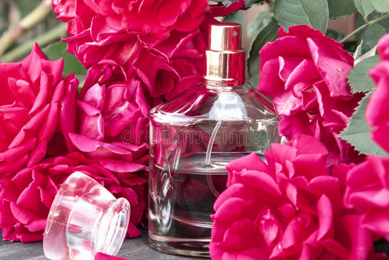 Perfume Bottle Surrounded by Red Roses Stock Image - Image of elegant ...