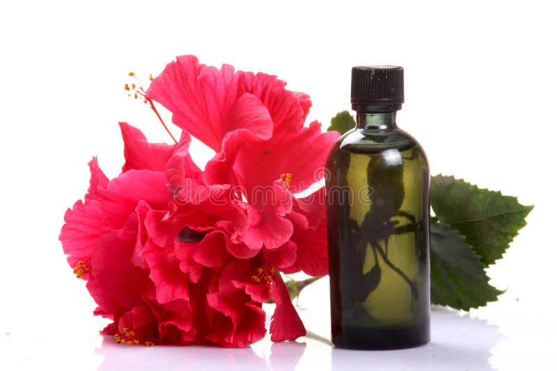 Perfume de la flor foto de archivo. Imagen de coloreado - 28317896
