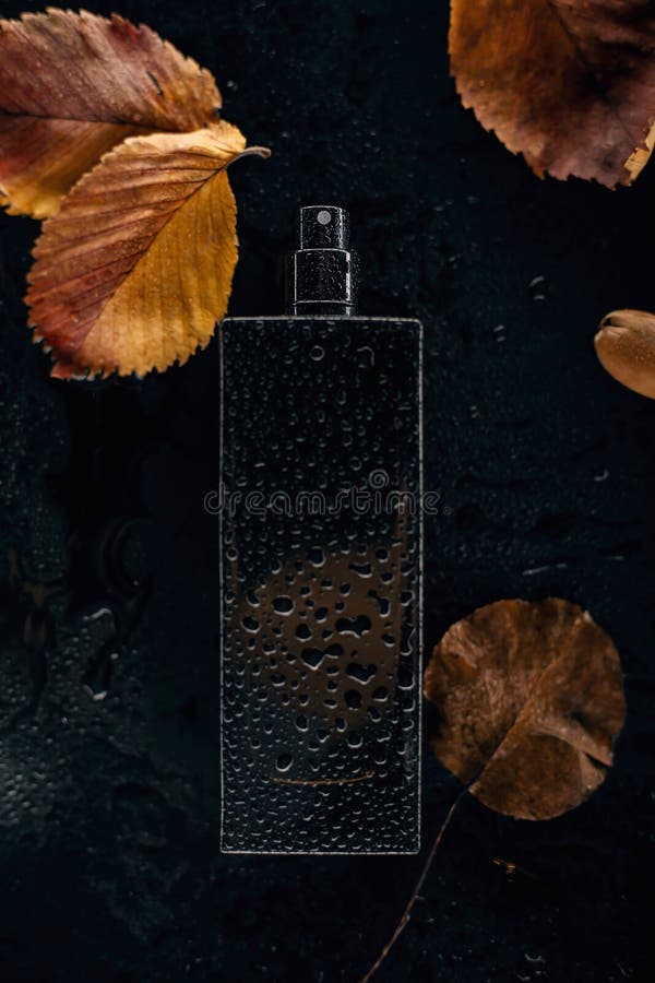 Perfume with dry leaves stock image. Image of brown - 204152147