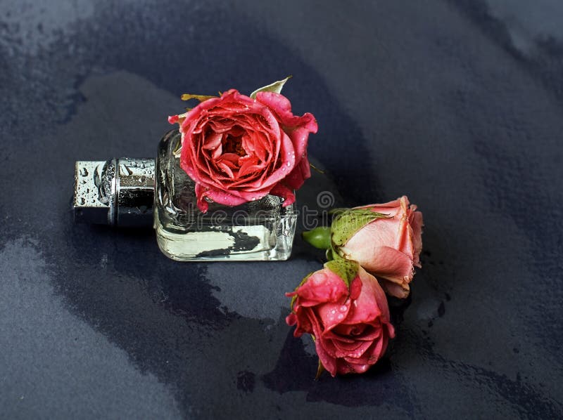 Perfume E Rosas Cor-de-rosa Delicadas Imagem de Stock - Imagem de ...