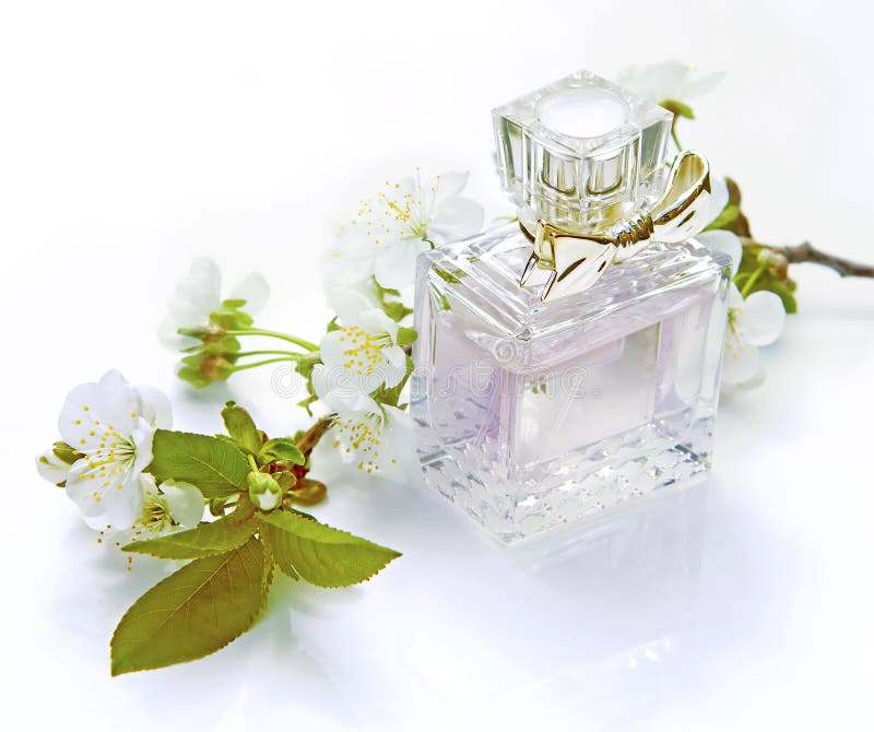 Spring gift stock photo. Image of light, botanic, background - 111473102