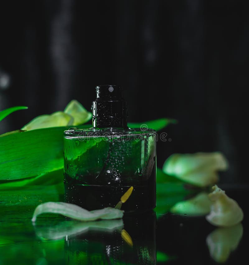 Perfume with green leaves stock image. Image of gift - 88560739