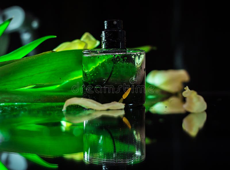 Perfume with green leaves stock photo. Image of elegant - 88560568