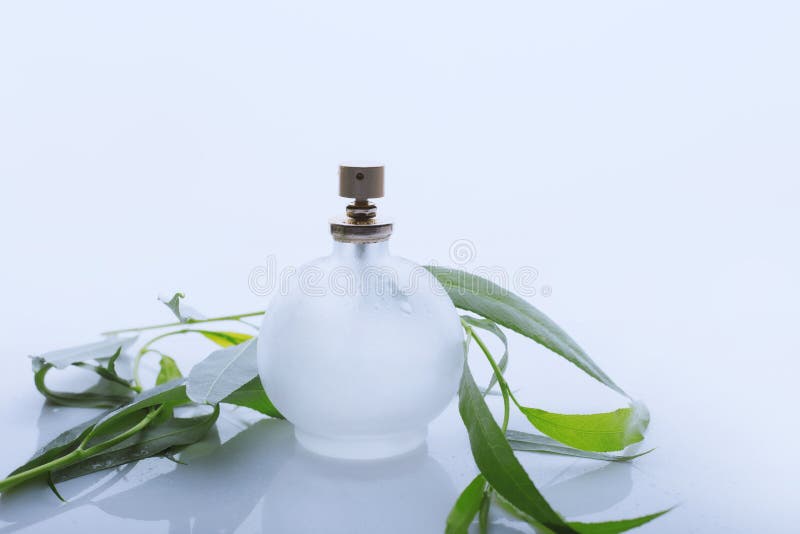 Perfume and green leaves stock image. Image of scent - 189154213