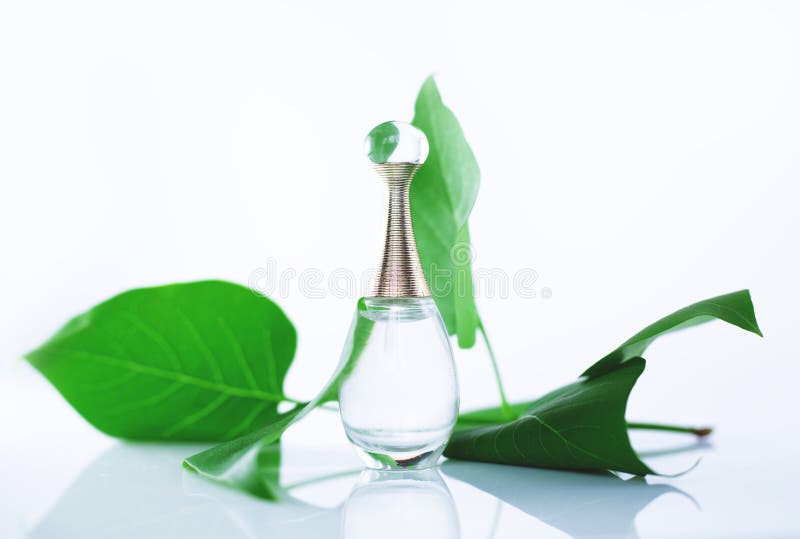 Perfume and green leaves stock image. Image of cosmetic - 147868353