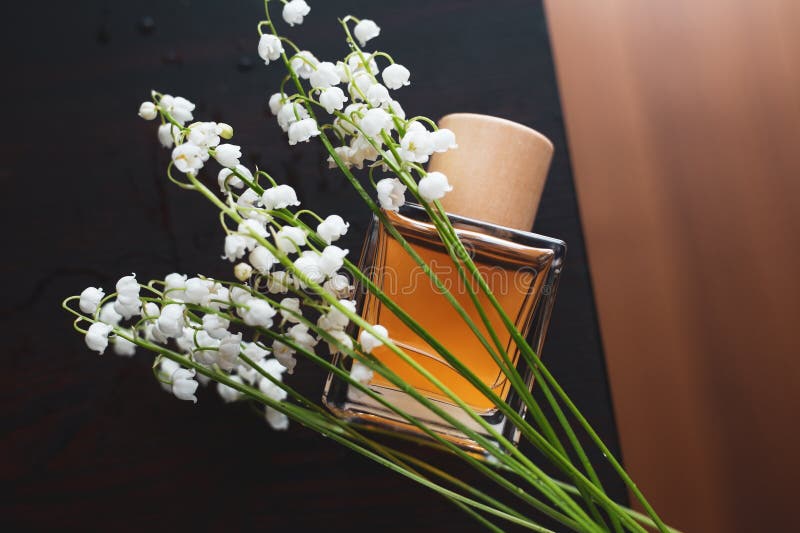 Perfume and Lilies of the Valley Stock Photo - Image of flat, aroma ...