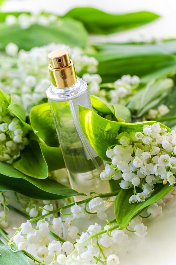 Perfume with Lily of the Valley Aroma Stock Image - Image of glamor ...
