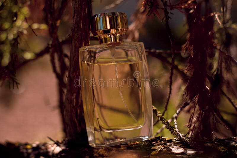 Perfume on Nature Background Stock Photo - Image of transparent ...