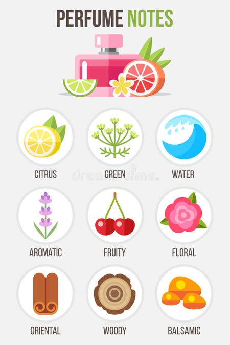 Perfume notes stock vector. Illustration of balsamic - 80400060