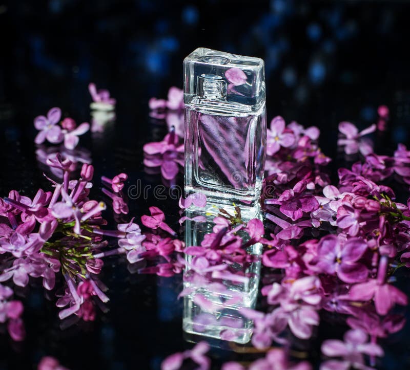 Perfume and purple flowers stock image. Image of border - 91874469