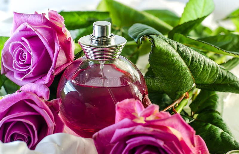 Perfume with the Scent of Roses Stock Photo - Image of clean, body ...